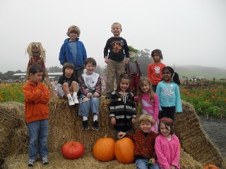 Golden Poppy PreSchool